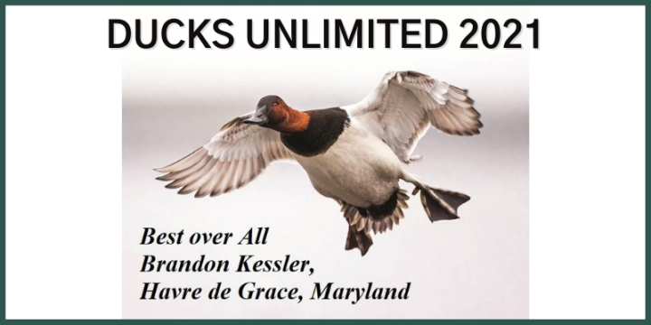 Best of Ducks Unlimited 2021 Photo Contest – Atlantic Wildfowl Heritage ...